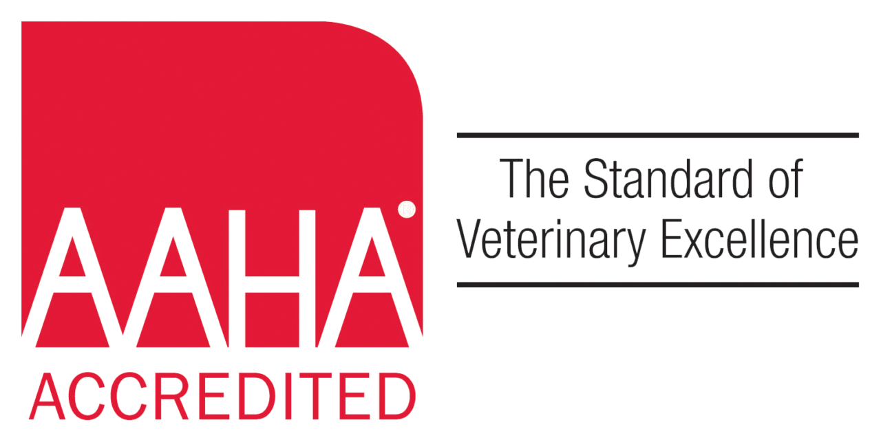 Best Veterinary Hospital In Forest Hill, MD 21050 | Rock Spring ...
