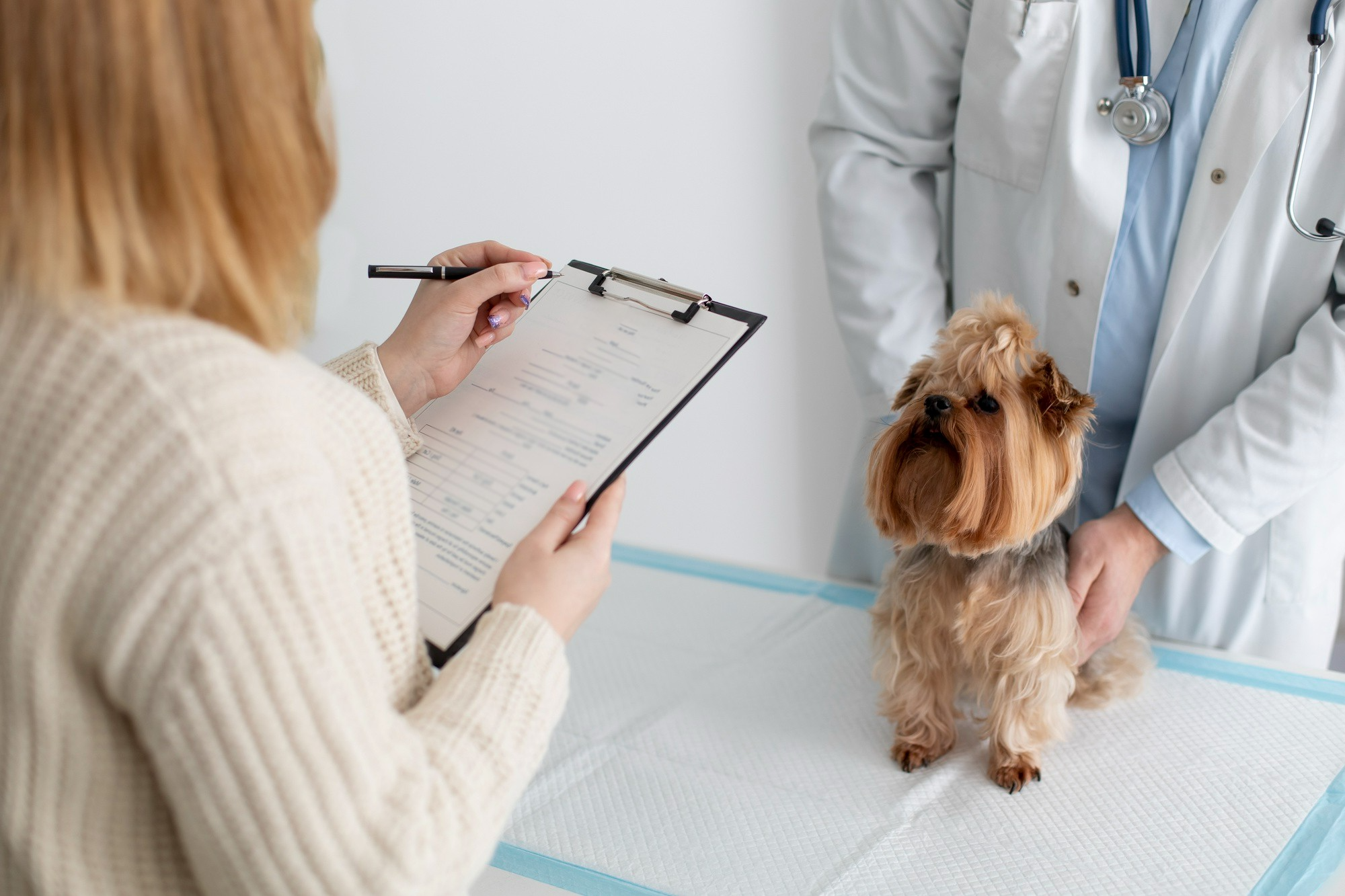 Sick Pet Exam In Forest Hill, MD 21050 | Rock Spring Veterinary Clinic